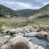 Grasslands Loop Trail, California - 1,717 Reviews, Map | AllTrails