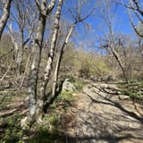 Hawksbill Loop Trail, Virginia - 4,407 Reviews, Map | AllTrails