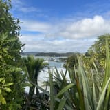 Paihia to Opua Coastal Walkway, Northland, New Zealand - 125 Reviews ...