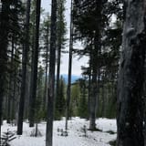 Mount Kit Carson Trail, Washington - 968 Reviews, Map | AllTrails