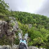 Mathews Arm Overall Run Trail, Virginia - 242 Reviews, Map | AllTrails