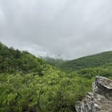 Mathews Arm Overall Run Trail, Virginia - 242 Reviews, Map | AllTrails