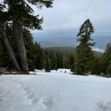 Mount Pilchuck Trail, Washington - 3,178 Reviews, Map | AllTrails