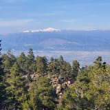 Stultz Trail, Colorado - 121 Reviews, Map | AllTrails