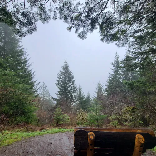 10 Best Hard Trails in McDonald Research Forest | AllTrails