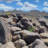 Signal Hill Trail, Arizona - 1,311 Reviews, Map | AllTrails