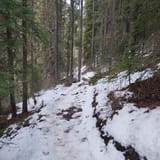 Stewart Canyon Trail, Alberta, Canada - 1,998 Reviews, Map | AllTrails