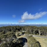 Mount Victoria Track, Victoria, Australia - 287 Reviews, Map | AllTrails
