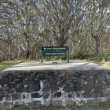 Mount Victoria Track, Victoria, Australia - 287 Reviews, Map | AllTrails