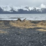 Tonsina Creek Trail, Alaska - 1,380 Reviews, Map | AllTrails