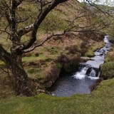 Snake Woodland and Snake Path Circular, Derbyshire, England - 223 ...