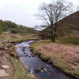 Snake Woodland and Snake Path Circular, Derbyshire, England - 223 ...