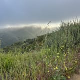 Temescal Canyon Trail, California - 10,193 Reviews, Map | AllTrails