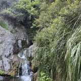 Temescal Canyon Trail, California - 10,193 Reviews, Map | AllTrails