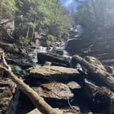 Lye Brook Falls Trail, Vermont - 2,911 Reviews, Map | AllTrails