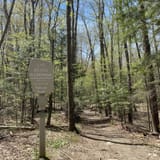 Lye Brook Falls Trail, Vermont - 2,911 Reviews, Map | AllTrails