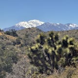 Warren Peak via Black Rock Trail and Panorama Loop, California - 1,096 ...