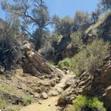 Warren Peak via Black Rock Trail and Panorama Loop, California - 1,096 ...