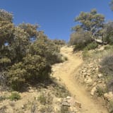 Warren Peak via Black Rock Trail and Panorama Loop, California - 1,096 ...