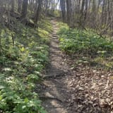 Turkey Hill Trail, Pennsylvania - 1,929 Reviews, Map | AllTrails