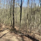 Turkey Hill Trail, Pennsylvania - 1,929 Reviews, Map | AllTrails