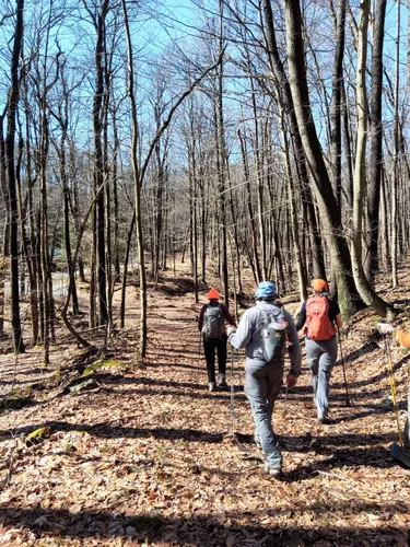 Best Forest Trails in Laurel Ridge State Park | AllTrails