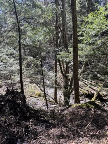 Best River Trails in Gowanda | AllTrails