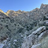 Pima Canyon Trail, Arizona - 3,159 Reviews, Map | AllTrails