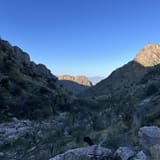 Pima Canyon Trail, Arizona - 3,159 Reviews, Map | AllTrails