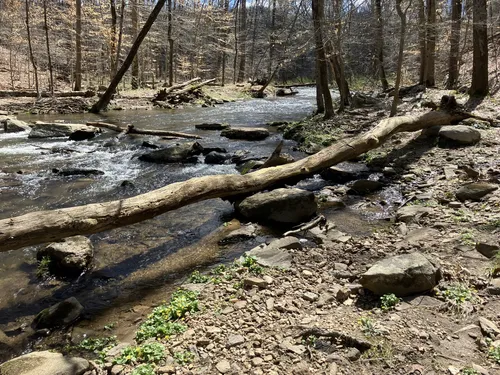 Best River Trails in Pottstown | AllTrails