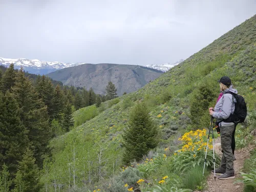 Best Kid Friendly Trails in Bridger-Teton National Forest - Jackson ...