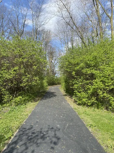 Best Hikes and Trails in Smiley Park | AllTrails