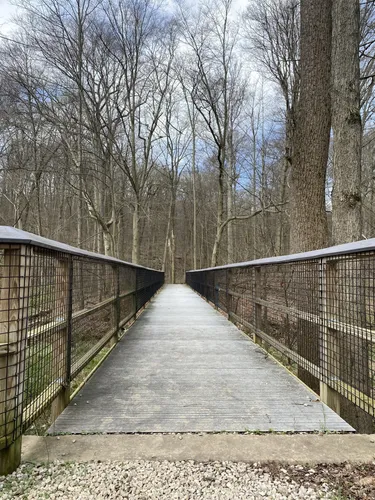 Best Forest Trails in Alliance | AllTrails