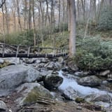 Ramsey Cascades Trail, Tennessee - 2,347 Reviews, Map | AllTrails