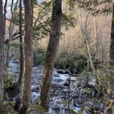 Ramsey Cascades Trail, Tennessee - 2,347 Reviews, Map | AllTrails