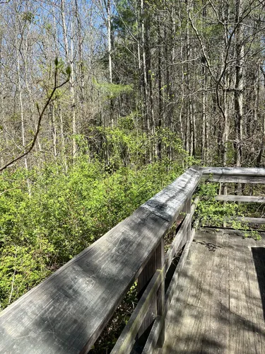 Best Trail Running Trails in North Point State Park | AllTrails