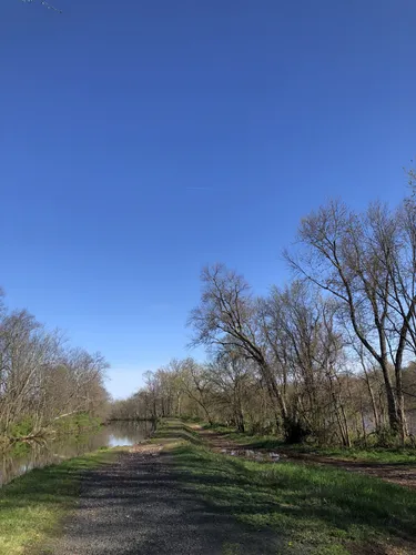 Best Forest Trails in Delaware & Raritan Canal State Park | AllTrails