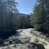 Cascade Brook Trail to Lonesome Lake, New Hampshire - 722 Reviews, Map ...