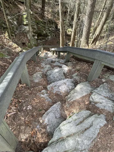 Best Forest Trails in Hawk Mountain Sanctuary | AllTrails