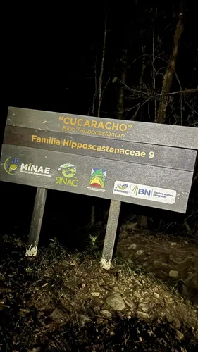 Best Camping Trails in Chirripo National Park | AllTrails