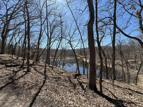 Best Easy Trails in Lake Maria State Park | AllTrails