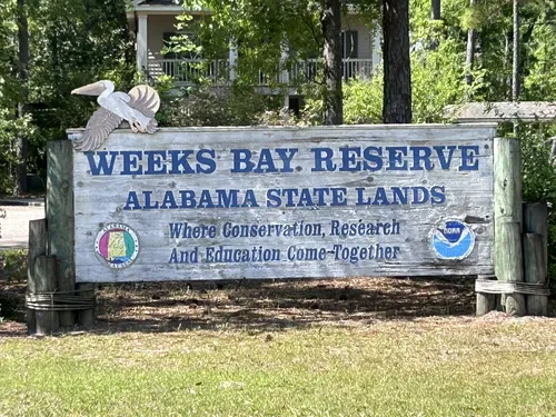 Best Views Trails in Foley | AllTrails