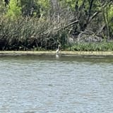 The Boardwalk at Lake Weatherford, Texas - 124 Reviews, Map | AllTrails