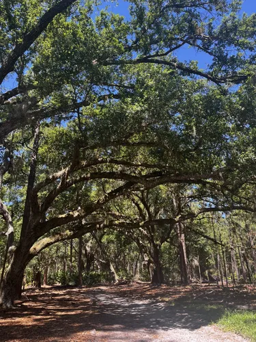 Best Forest Trails in Split Oak Forest Wildlife And Environmental Area ...