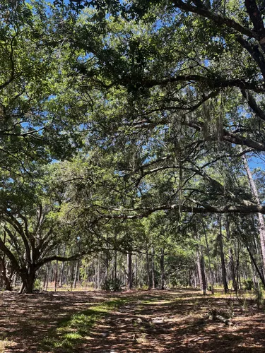 Best Forest Trails in Split Oak Forest Wildlife And Environmental Area ...