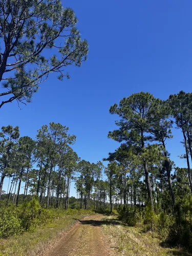 Best Forest Trails in Split Oak Forest Wildlife And Environmental Area ...