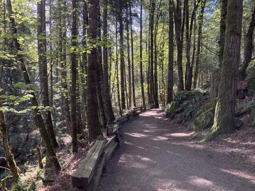 Best Hikes and Trails in Latoria Creek Park | AllTrails