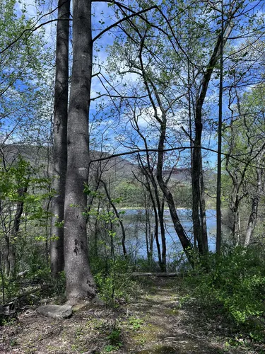 Best Short Trails in Mint Spring Valley Park | AllTrails