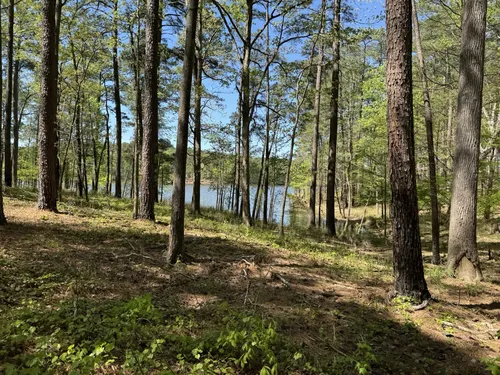 Best Easy Trails in Jordan Lake Educational State Forest | AllTrails
