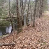 Hop River State Park Trail, Connecticut - 477 Reviews, Map | AllTrails